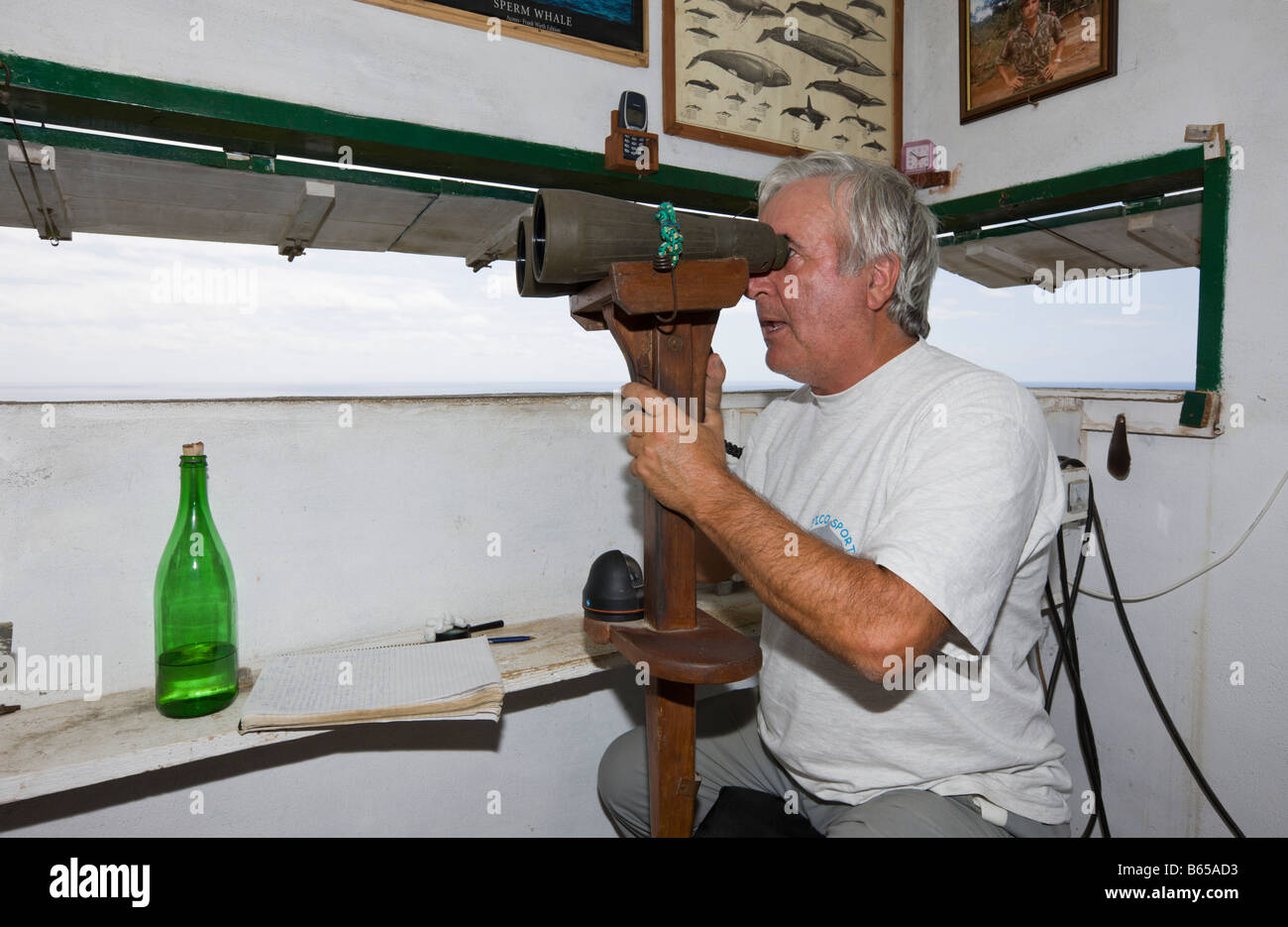 Whale Finder at Observation Tower Azores Pico Island Atlantic Ocean ...