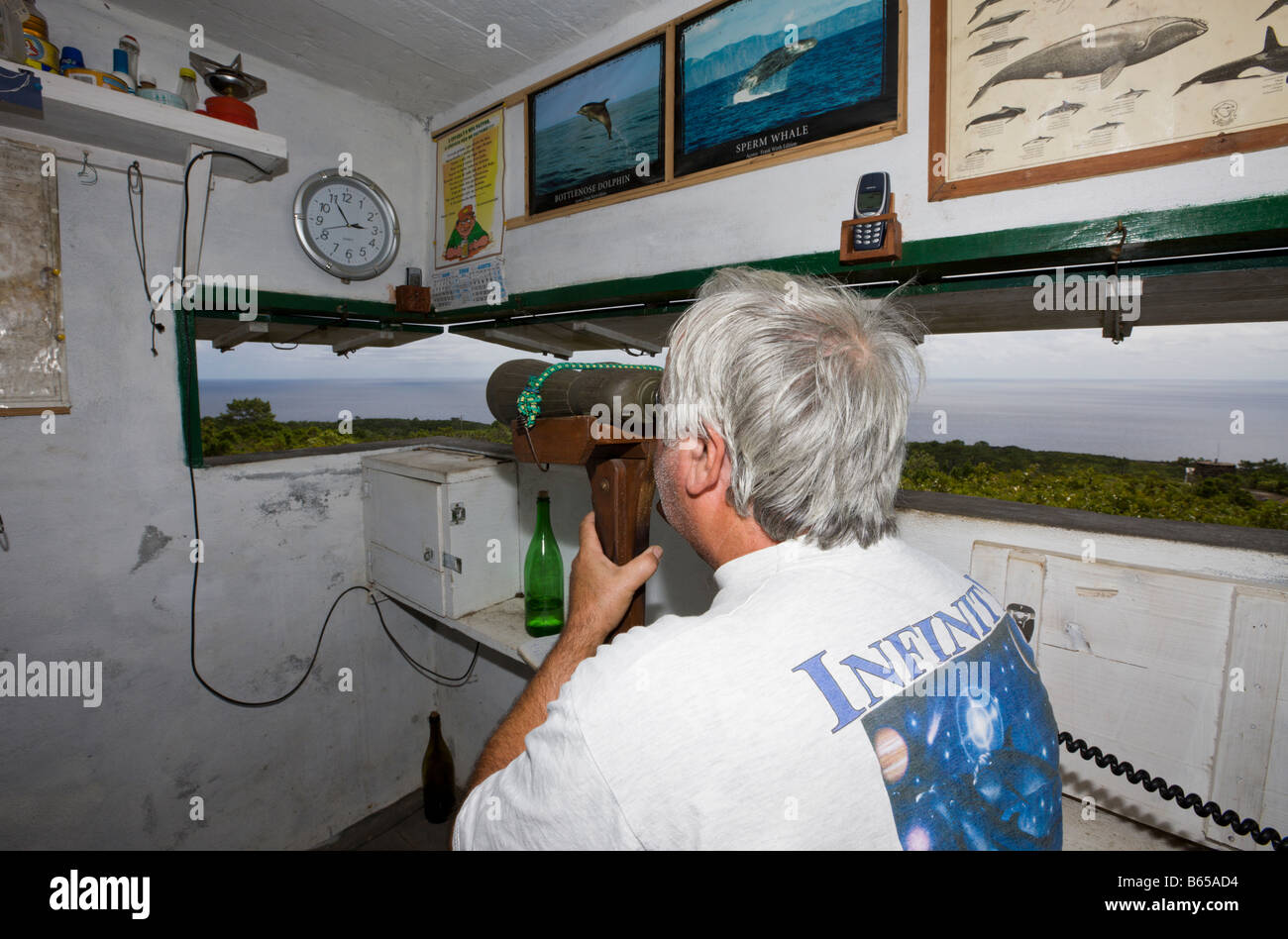 Whale Finder at Observation Tower Azores Pico Island Atlantic Ocean ...