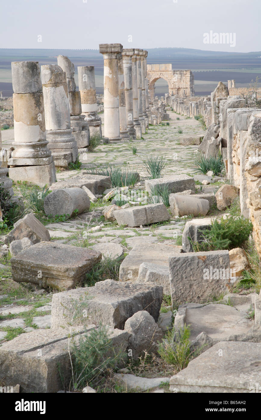 Volubilis, Roman ruins, Unesco World Heritage, Morocco Stock Photo - Alamy
