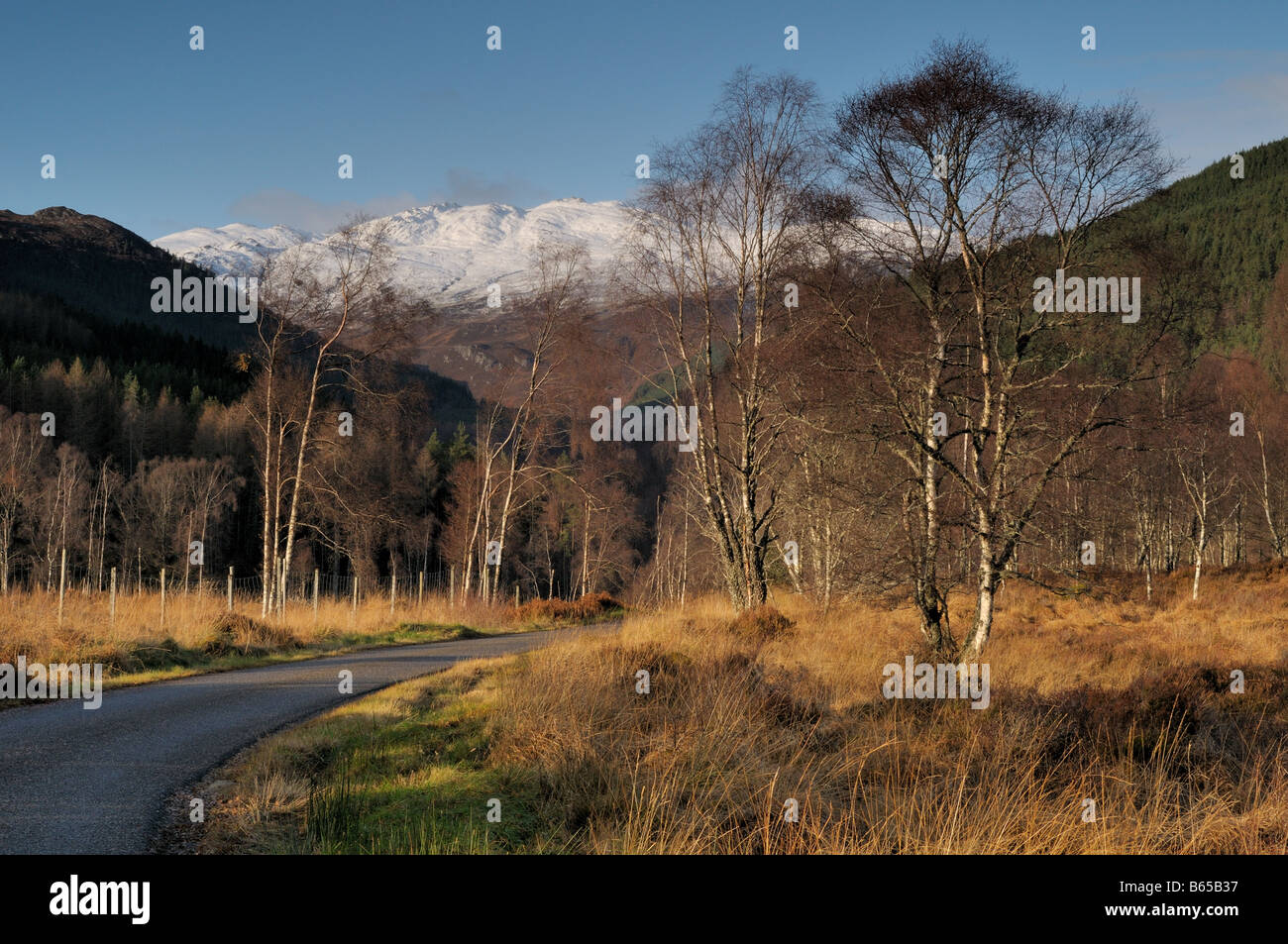 View into Glen Cannich, Scottish Highlands, with snow covered mountains ...