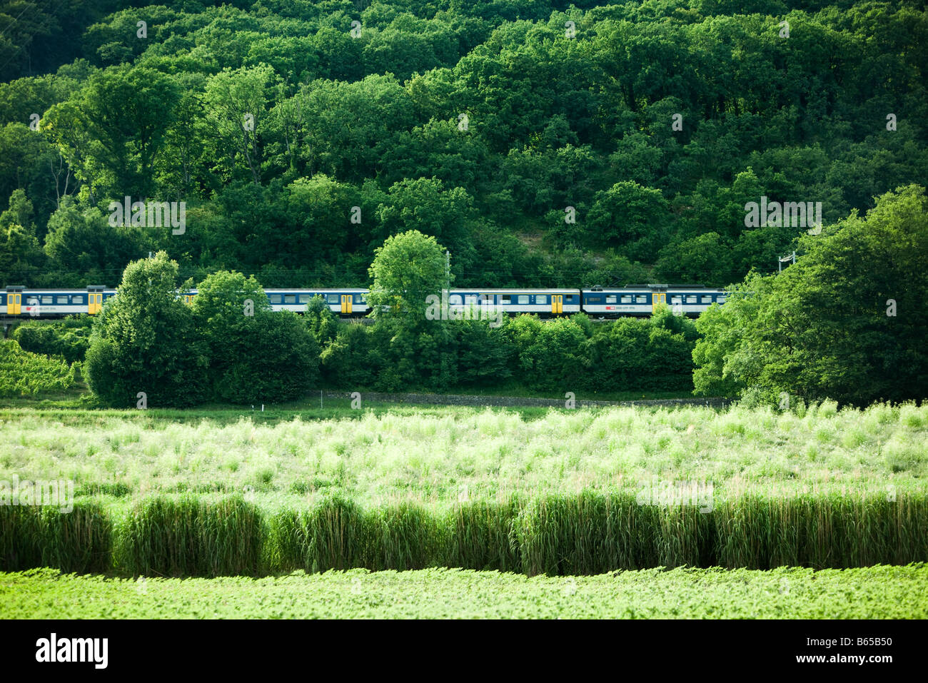 Train traveling through the countryside Stock Photo - Alamy