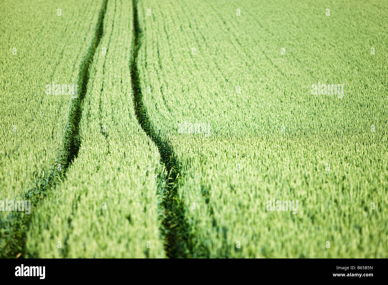 Vehicle track through field hi-res stock photography and images - Alamy