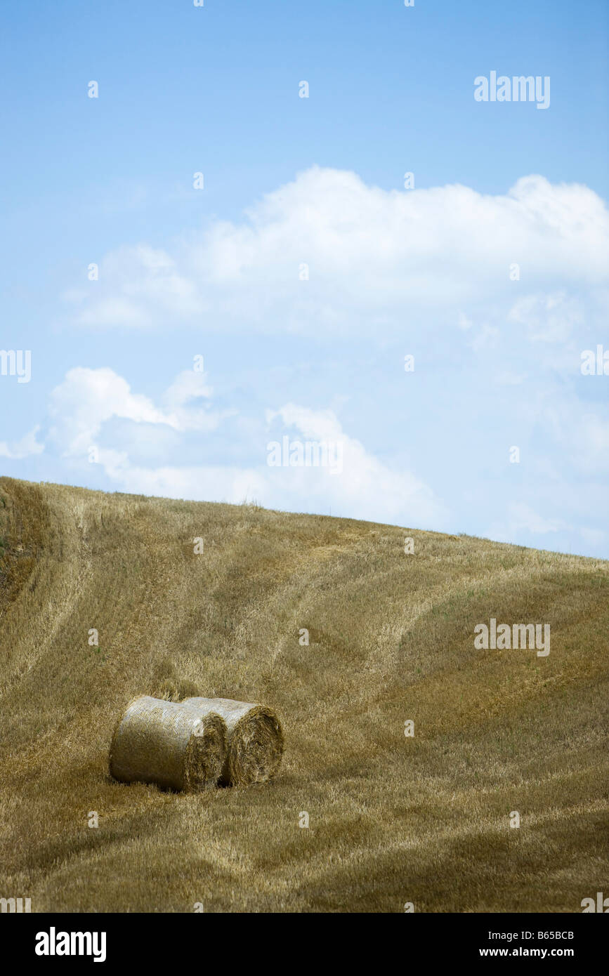 Two round bales of hay in field Stock Photo - Alamy