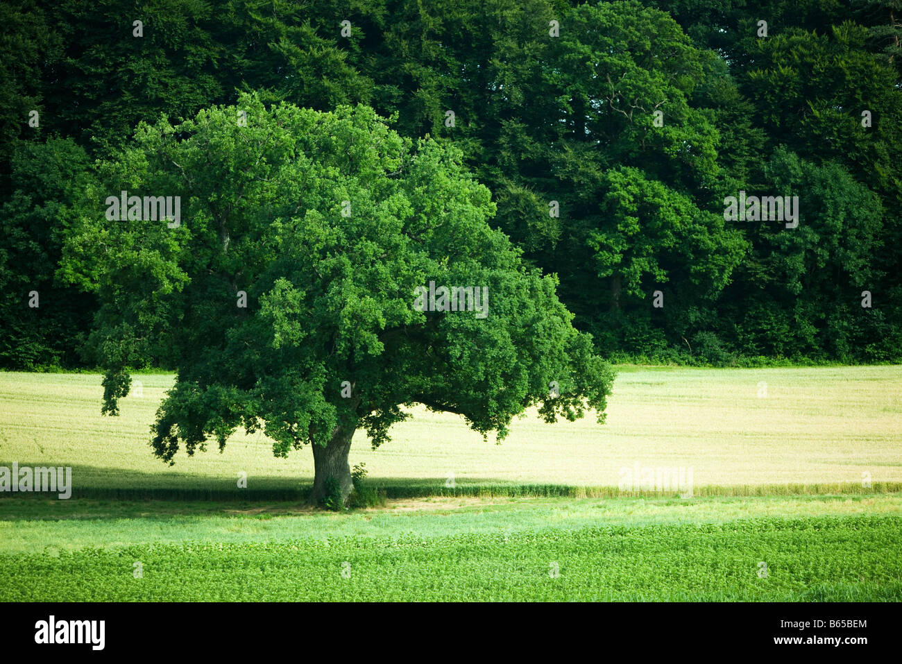 Prairies edge hi-res stock photography and images - Alamy