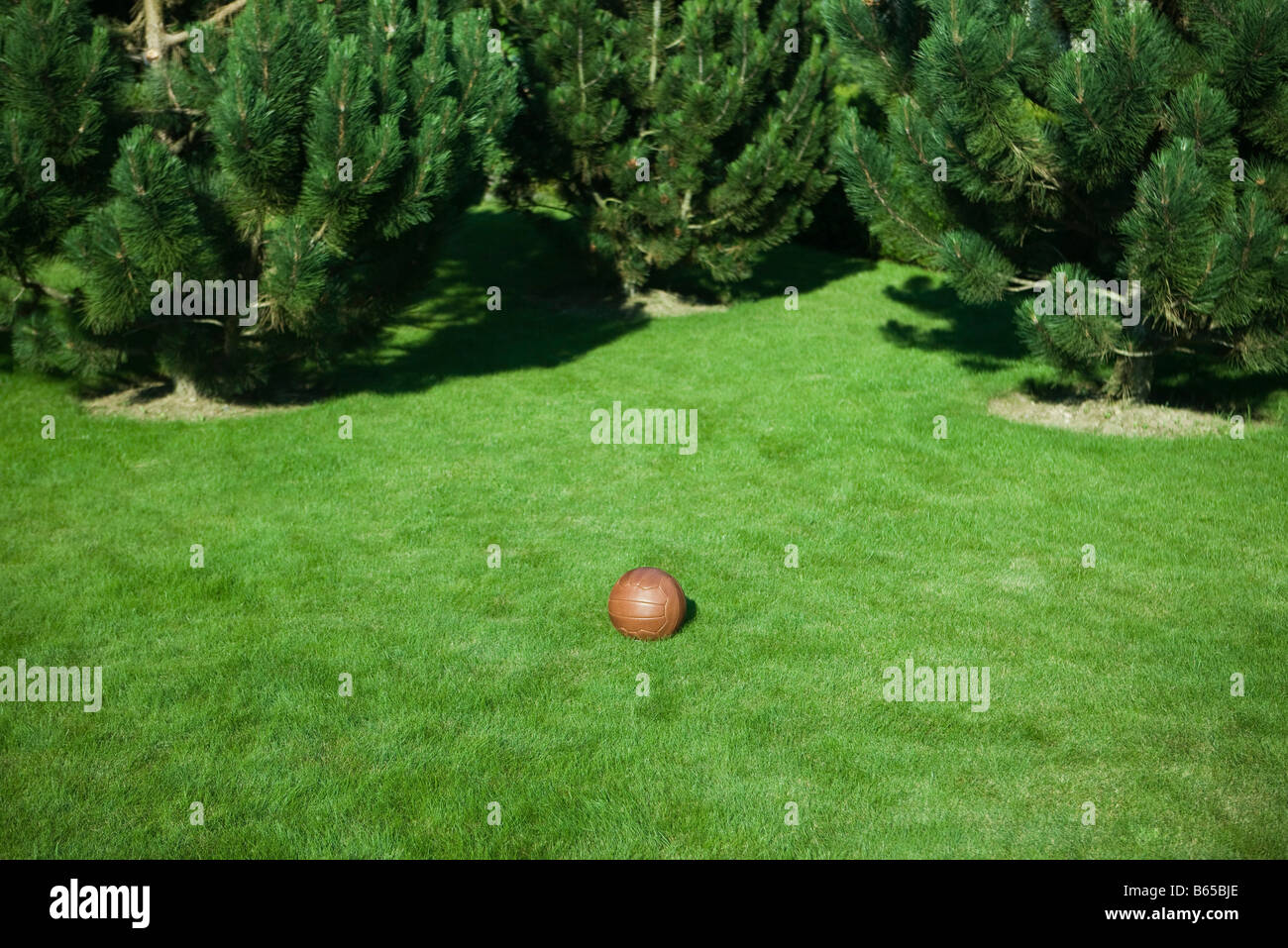 Ball on lawn, pine trees in background Stock Photo - Alamy