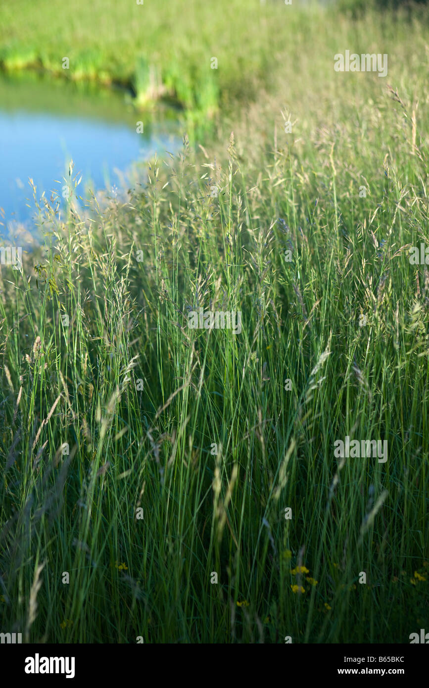 Grass embankment hi-res stock photography and images - Alamy