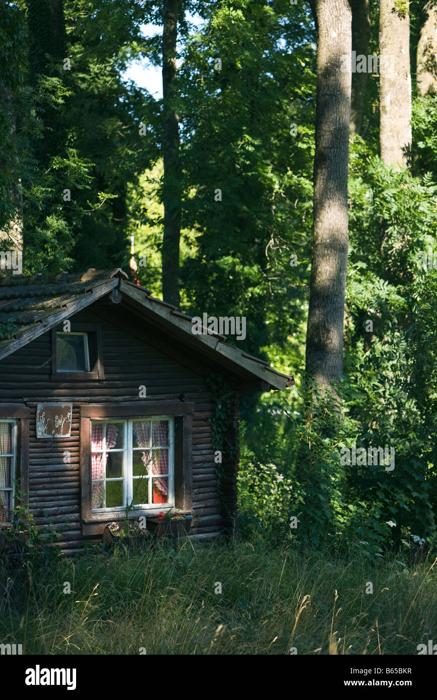 Log cabin in forest Stock Photo - Alamy