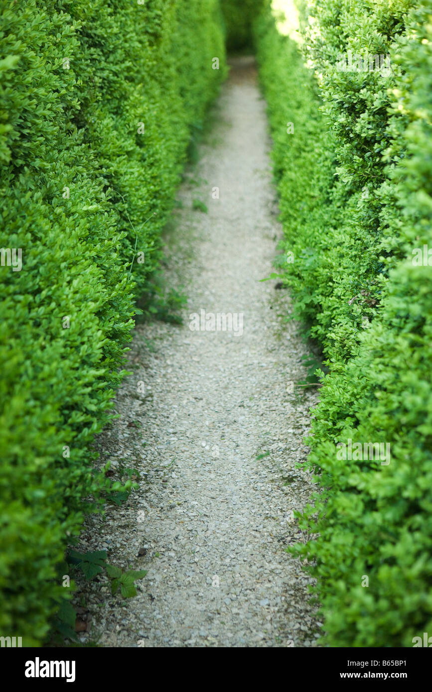 Hedge maze above hi-res stock photography and images - Alamy