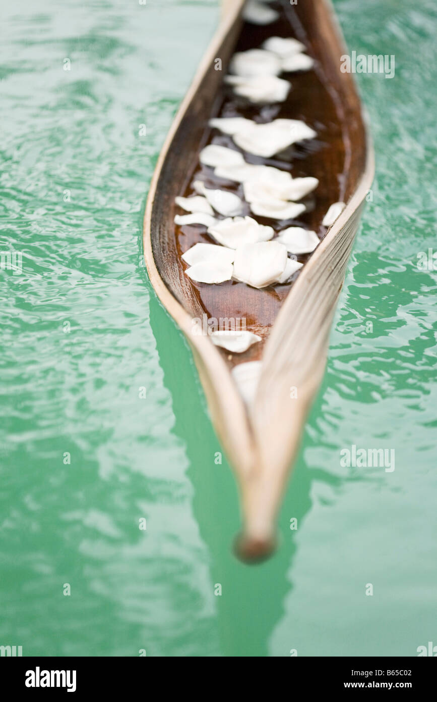 Flower petals on palm leaf, floating on water Stock Photo - Alamy