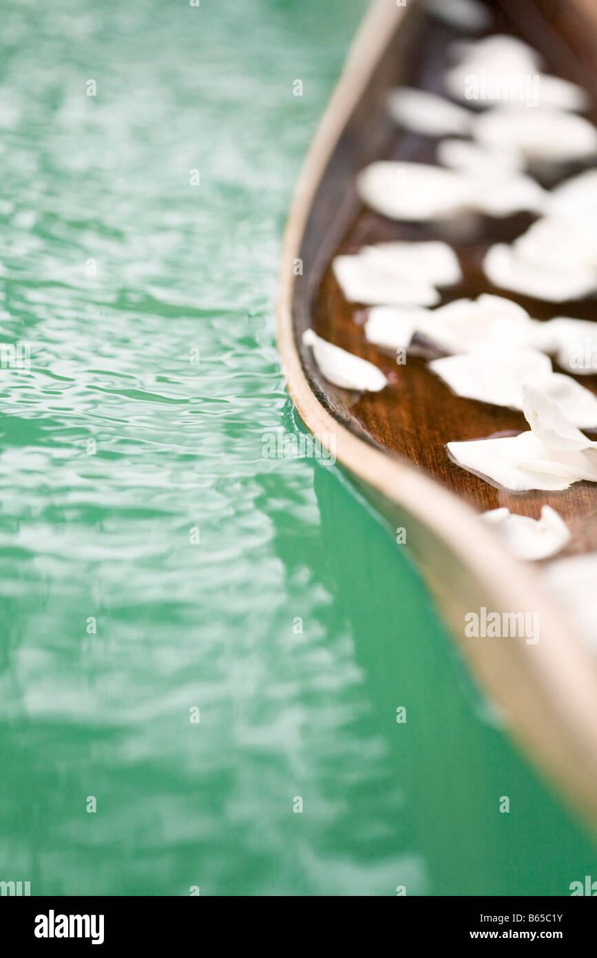 Palm leaf floating on water, white flower petal scattered on leaf Stock ...
