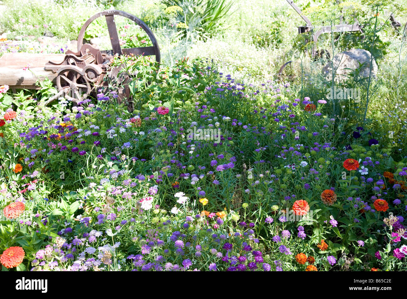 Gardening colour wheel hi-res stock photography and images - Alamy