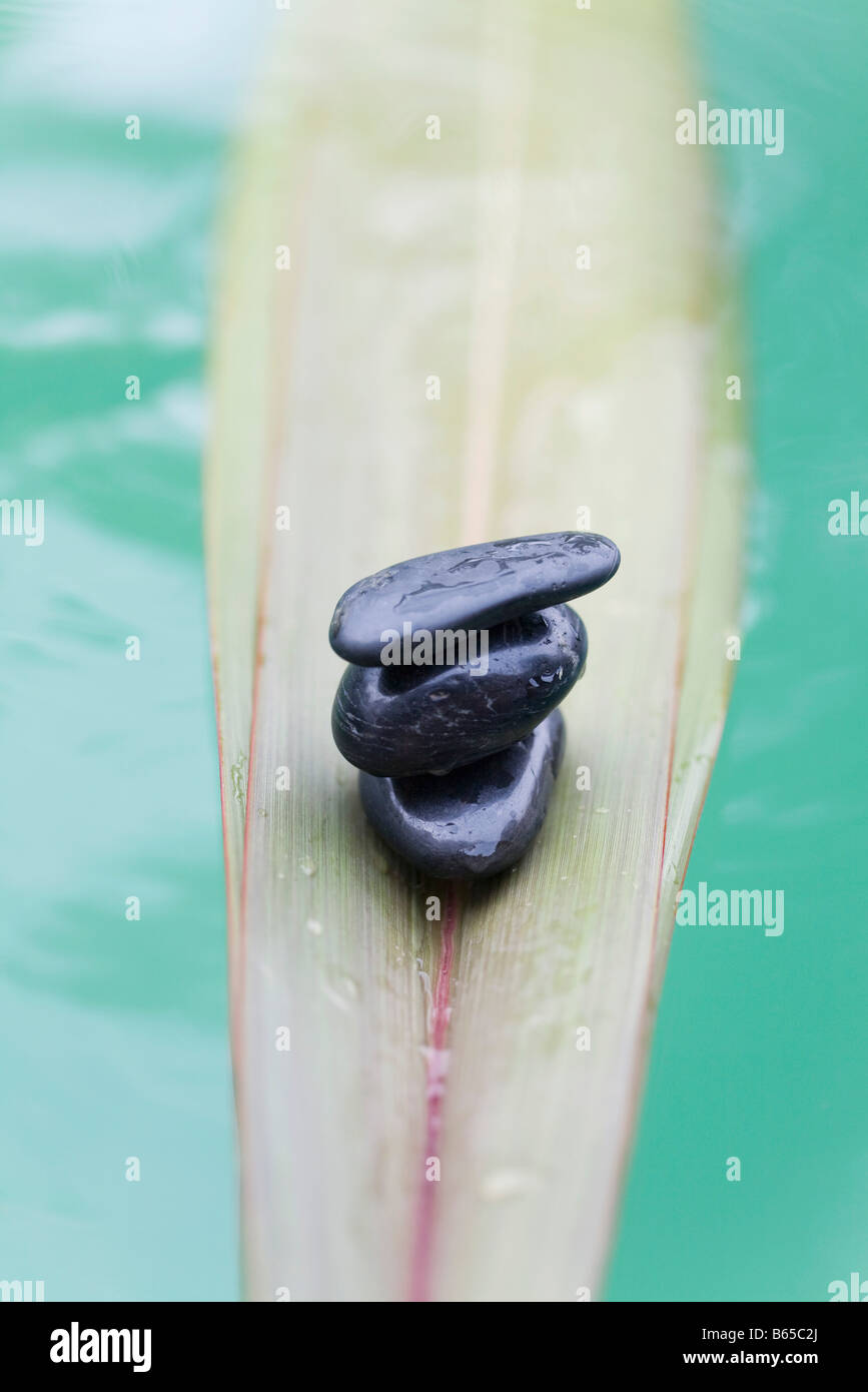 Stack of stones on palm leaf floating on water Stock Photo - Alamy