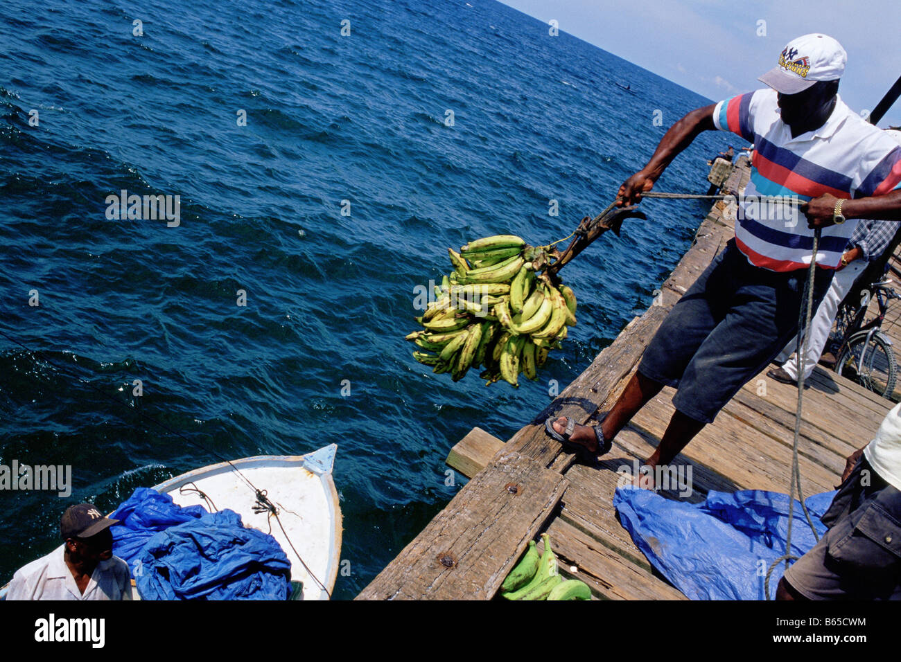 Honduras bananas hi-res stock photography and images - Alamy