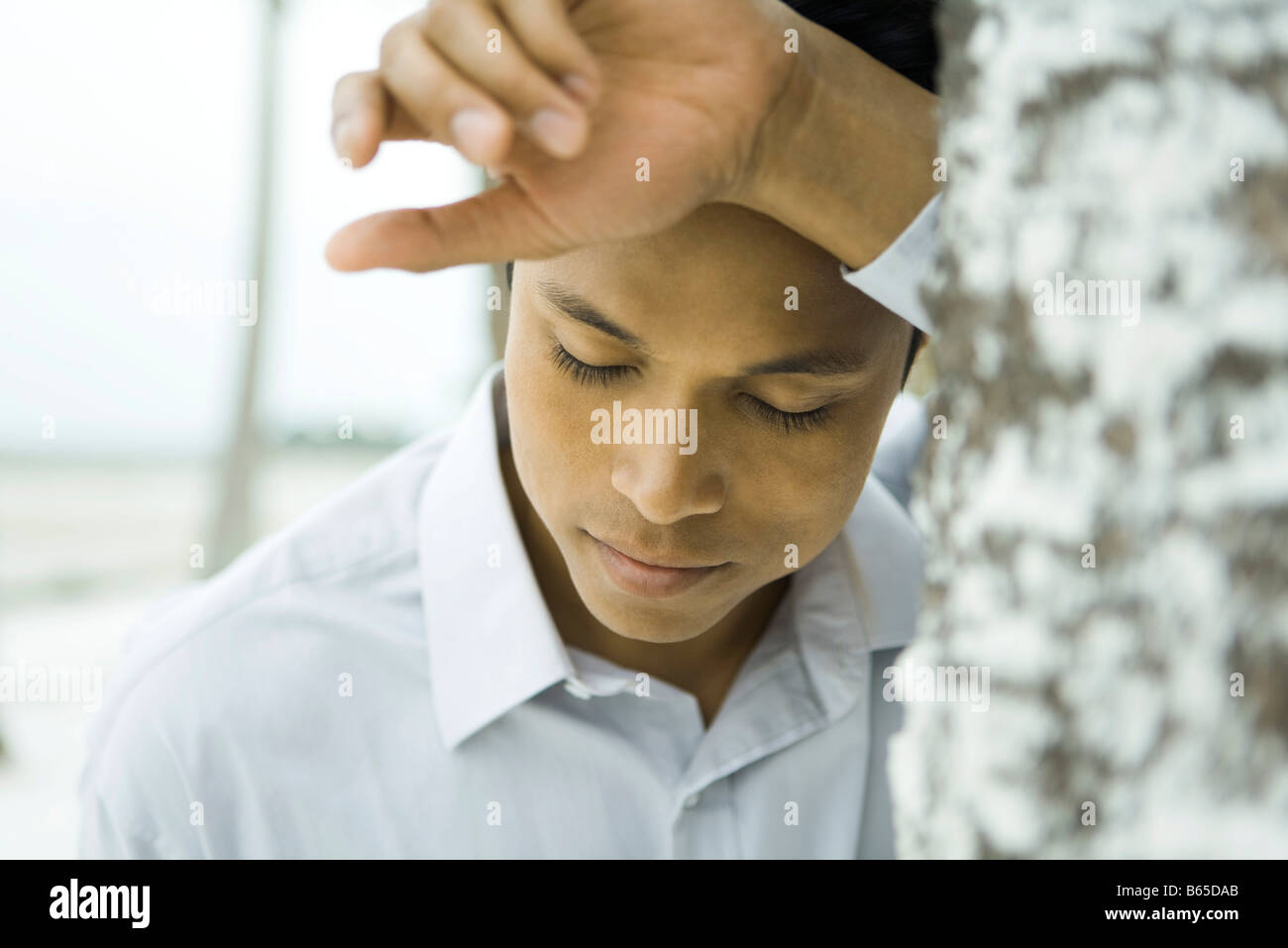 Trunk button hi-res stock photography and images - Alamy