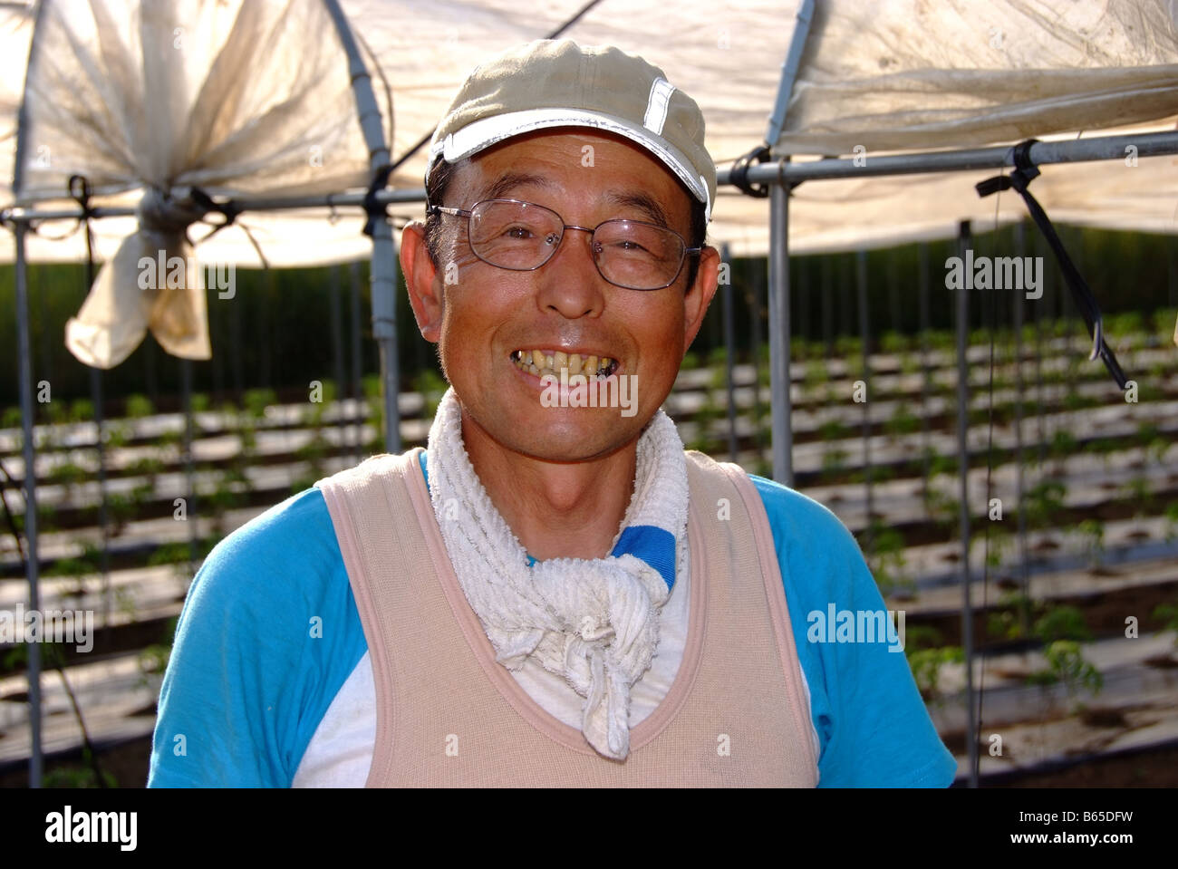 Portrait of a Japanese farm worker Stock Photo - Alamy