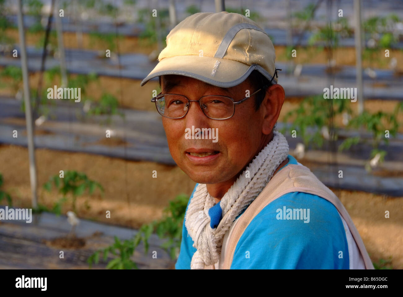Portrait of a Japanese farm worker Stock Photo - Alamy