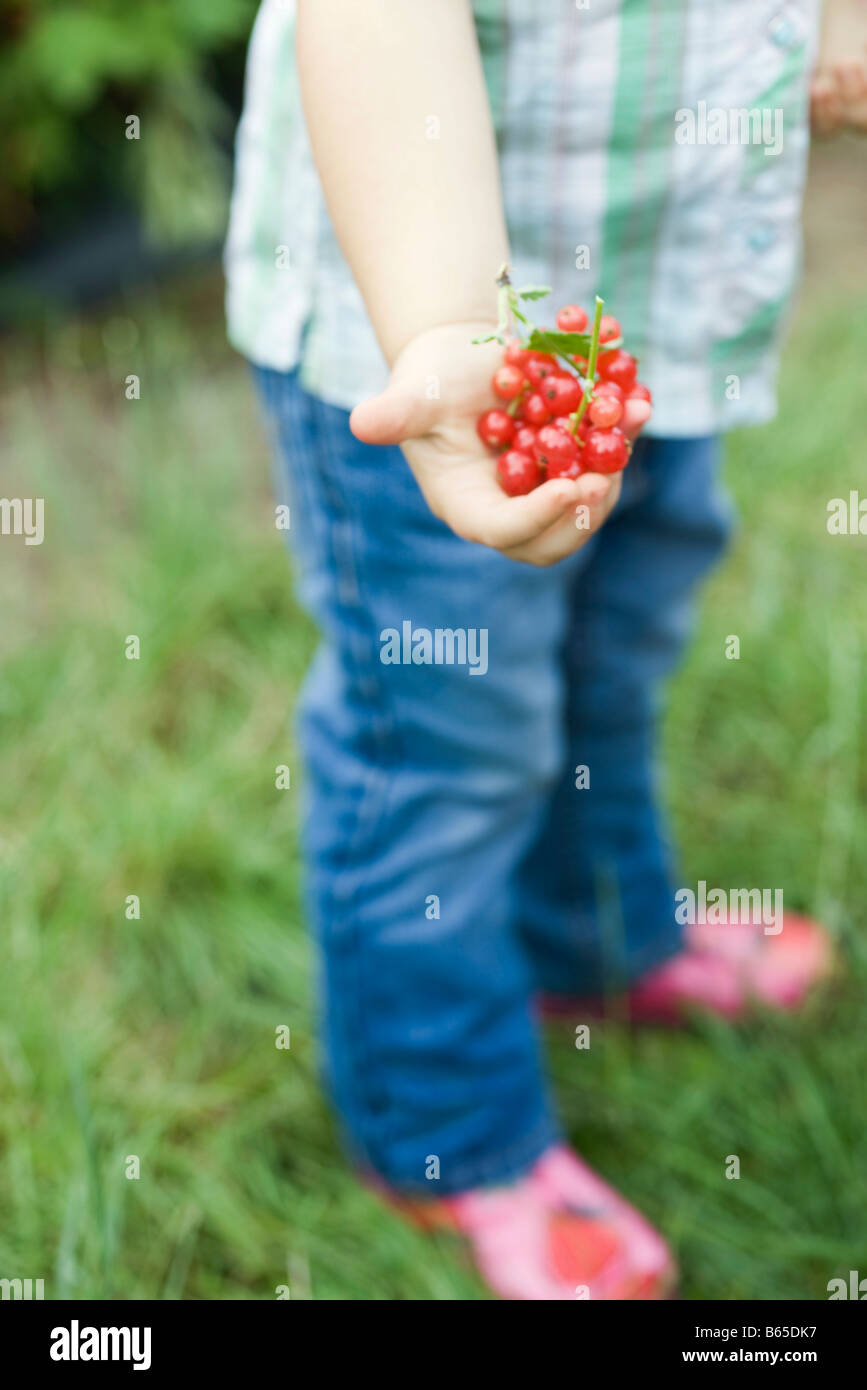 Handful of currants hi-res stock photography and images - Alamy