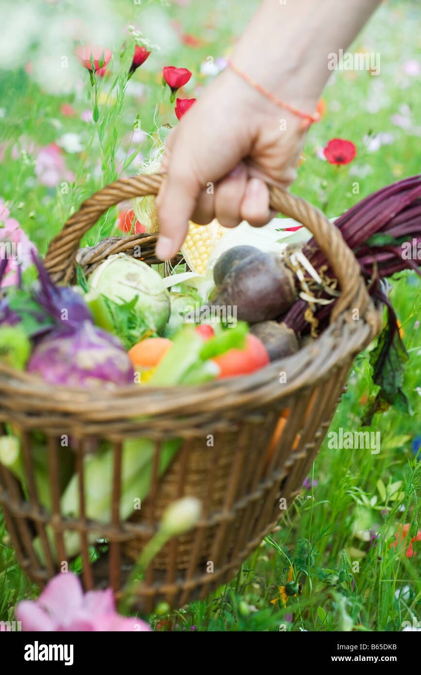 Hand picking up wooden basket of fresh produce Stock Photo - Alamy
