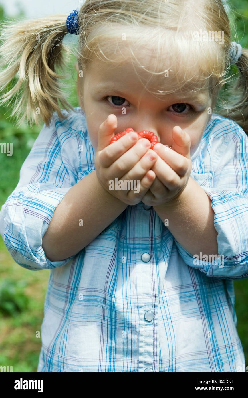 Little girl holding handful of raspberries up to her face Stock Photo ...