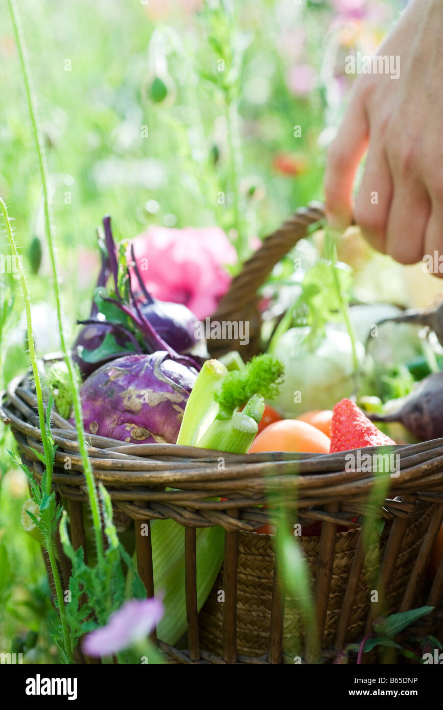 Hands holding on handles hi-res stock photography and images - Alamy