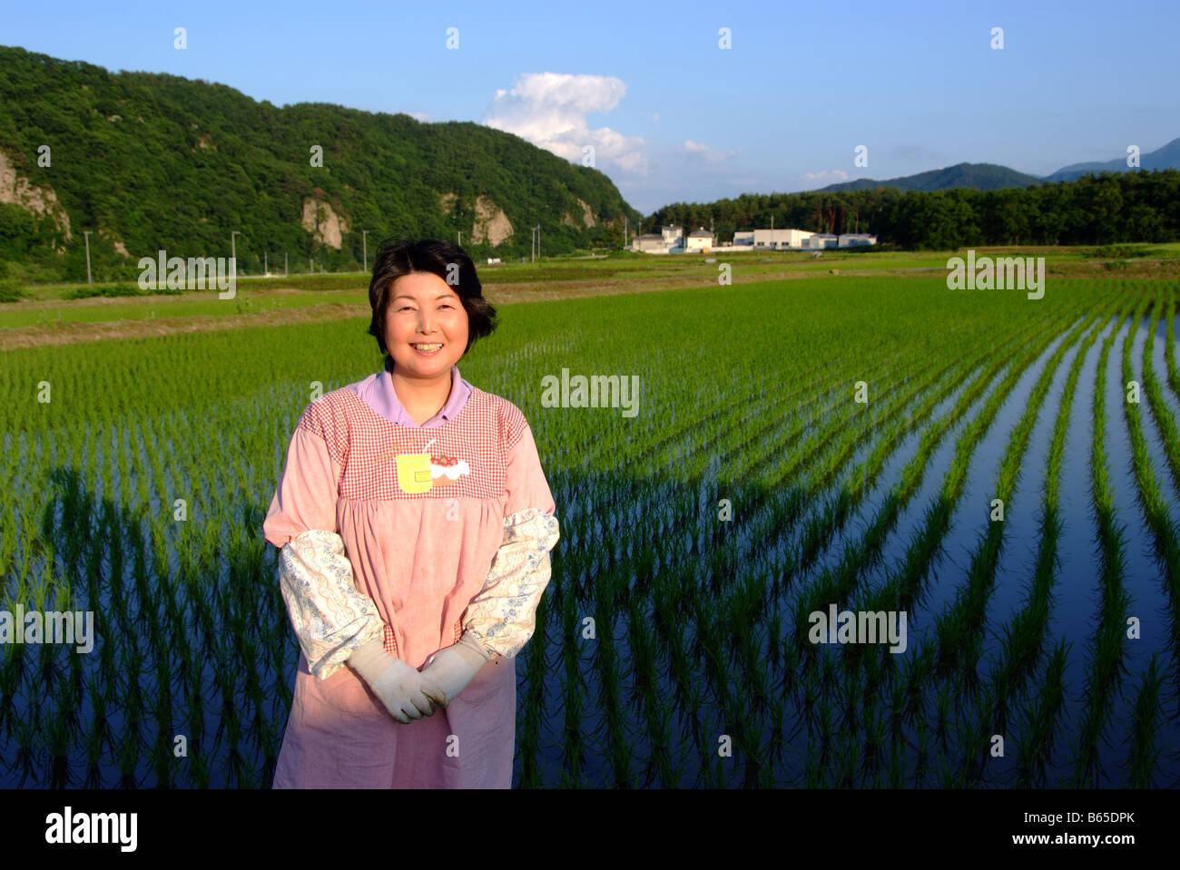 Portrait of a farm worker in Japan Stock Photo - Alamy