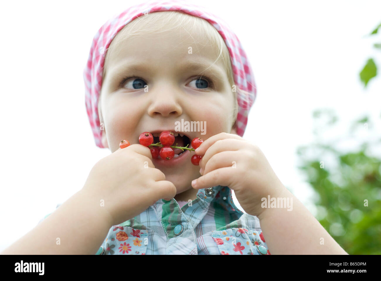 Stuffing food mouth hi-res stock photography and images - Alamy
