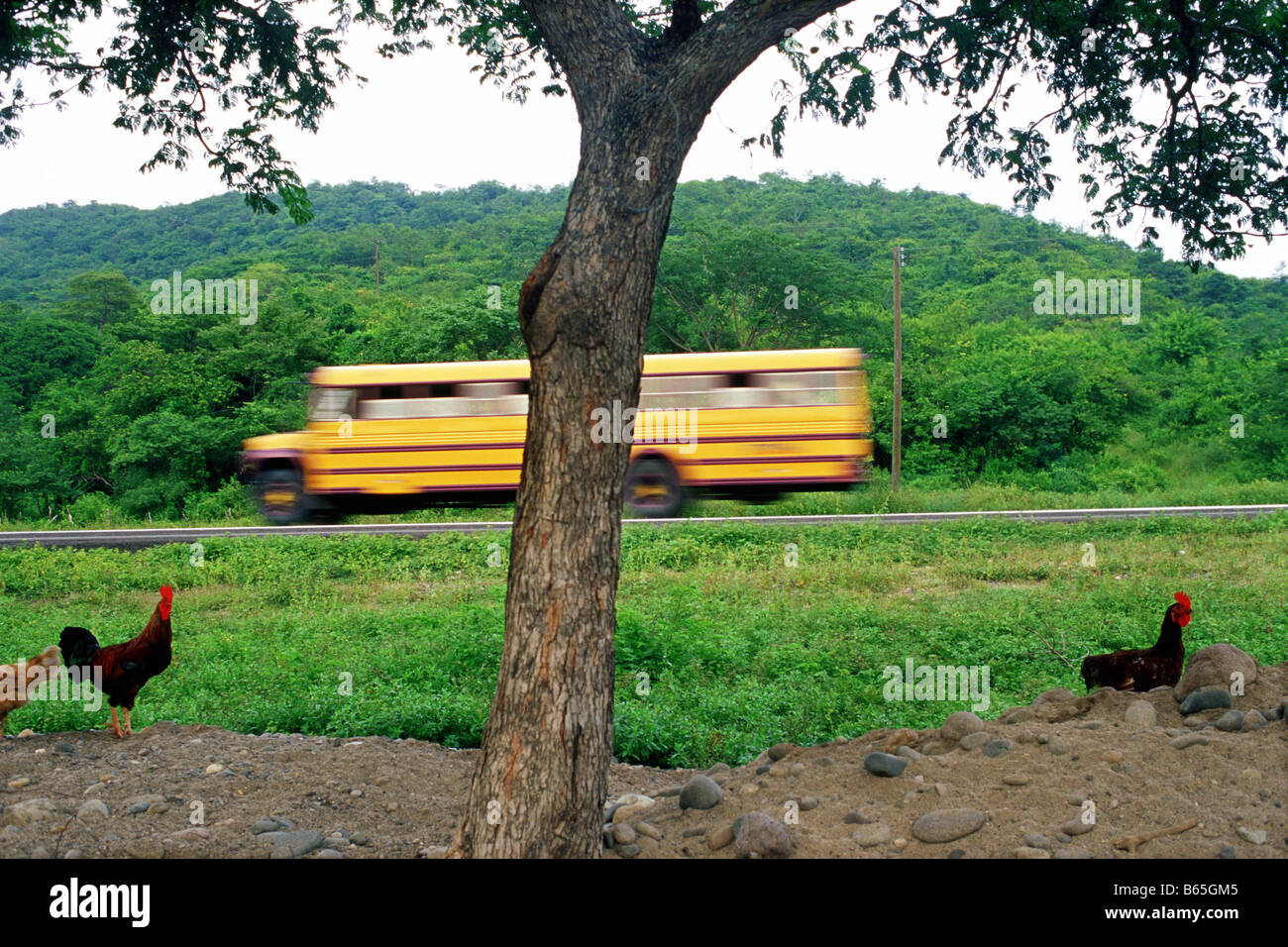 HONDURAS La Arada Stock Photo - Alamy