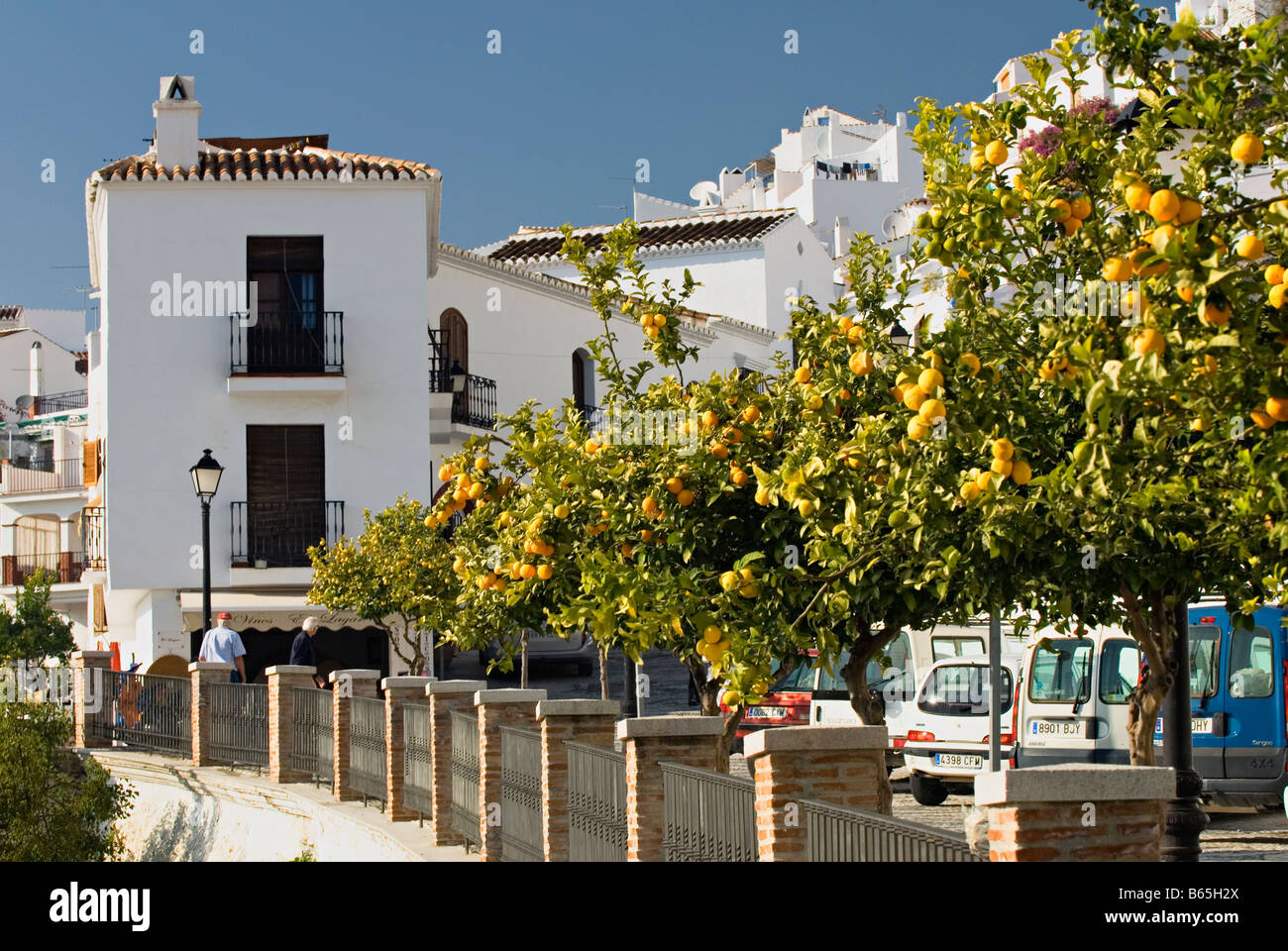 Lemon Trees in Frigiliana, Spain Stock Photo - Alamy