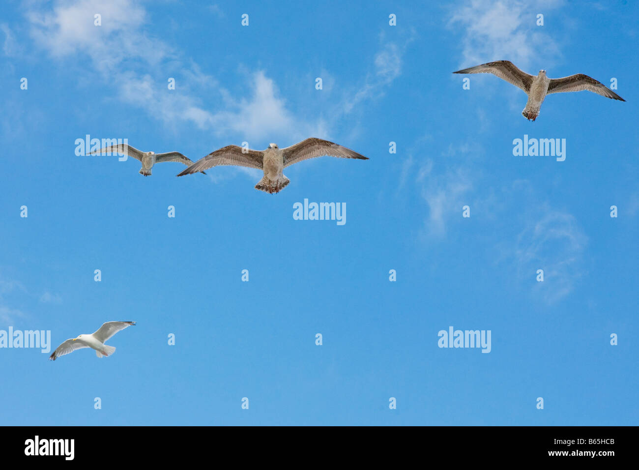 Overhead photo of blue sea hi-res stock photography and images - Alamy
