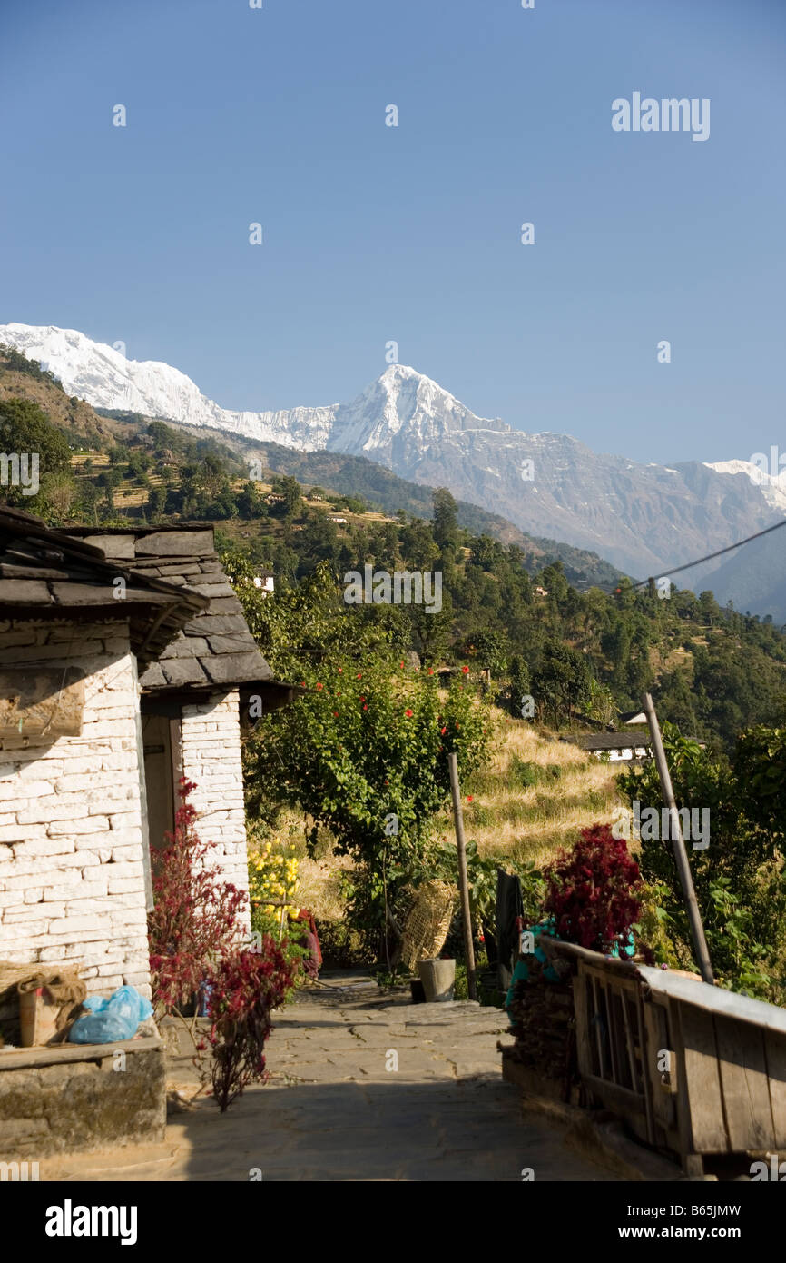 Annapurna South and the Hiunchuli Mountains trekking up the Modi River ...