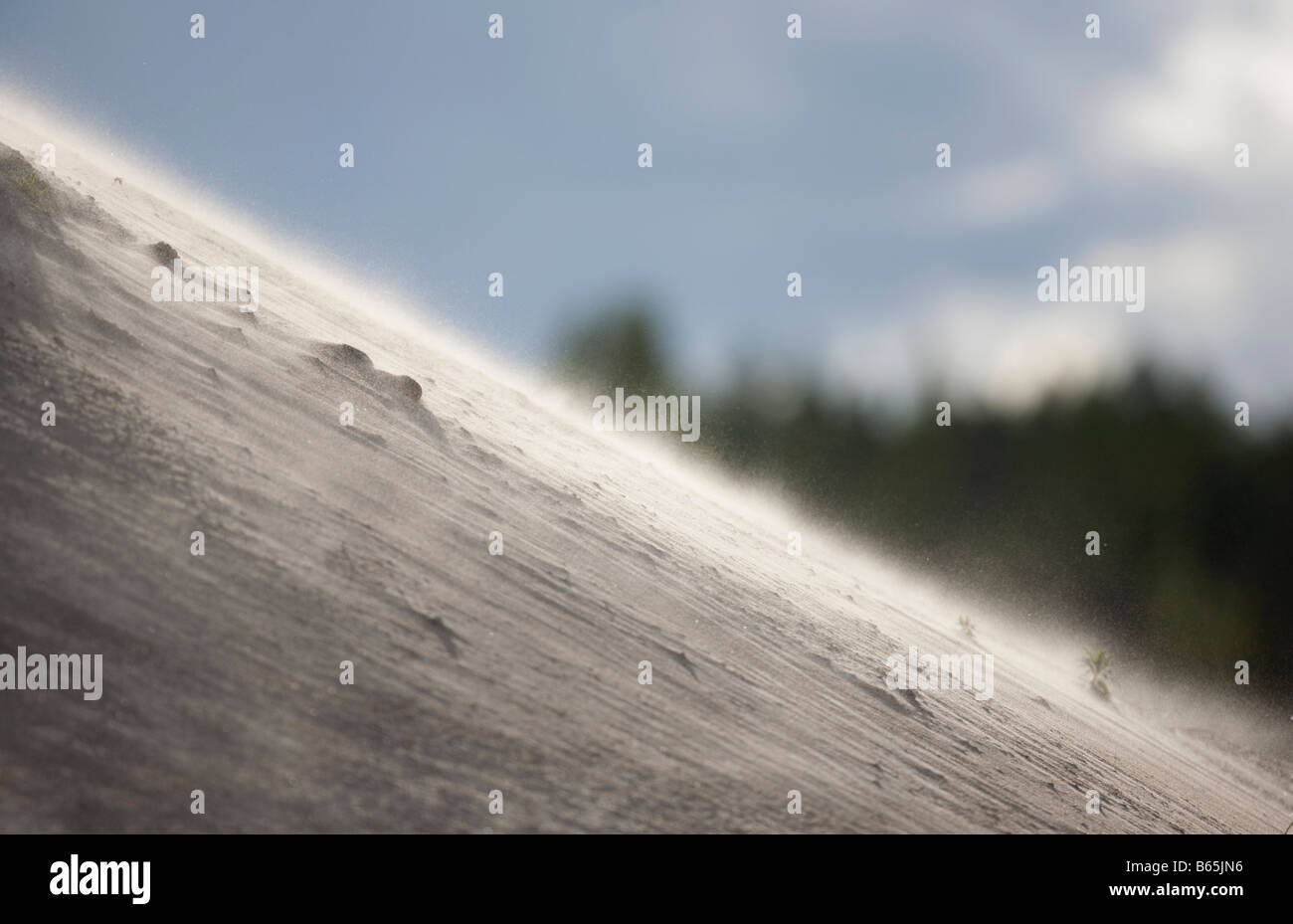 Blown away by strong wind hi-res stock photography and images - Alamy