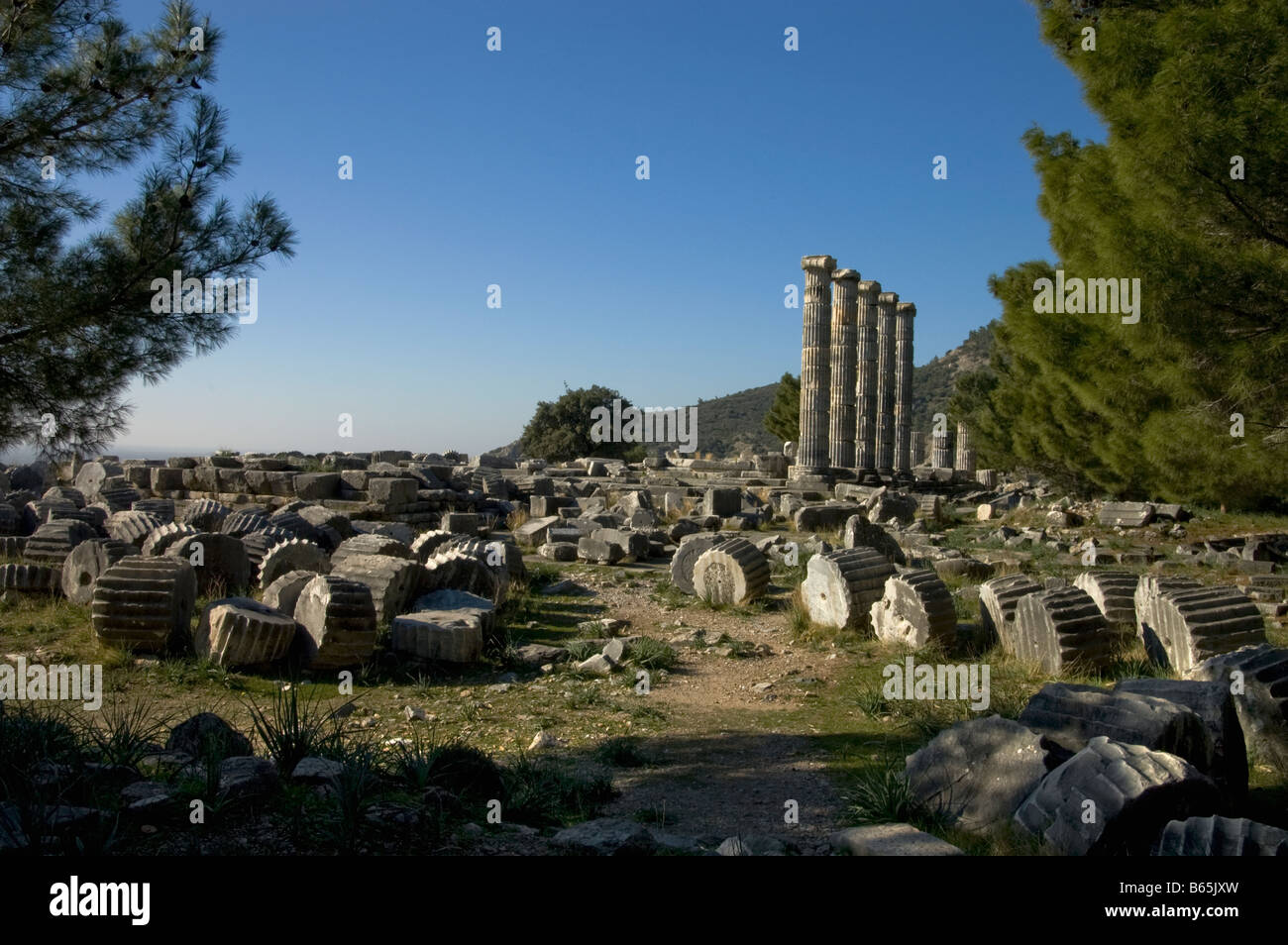 The Greek Temple of Athena Polias at Priene, Anatolia, Turkey Stock ...
