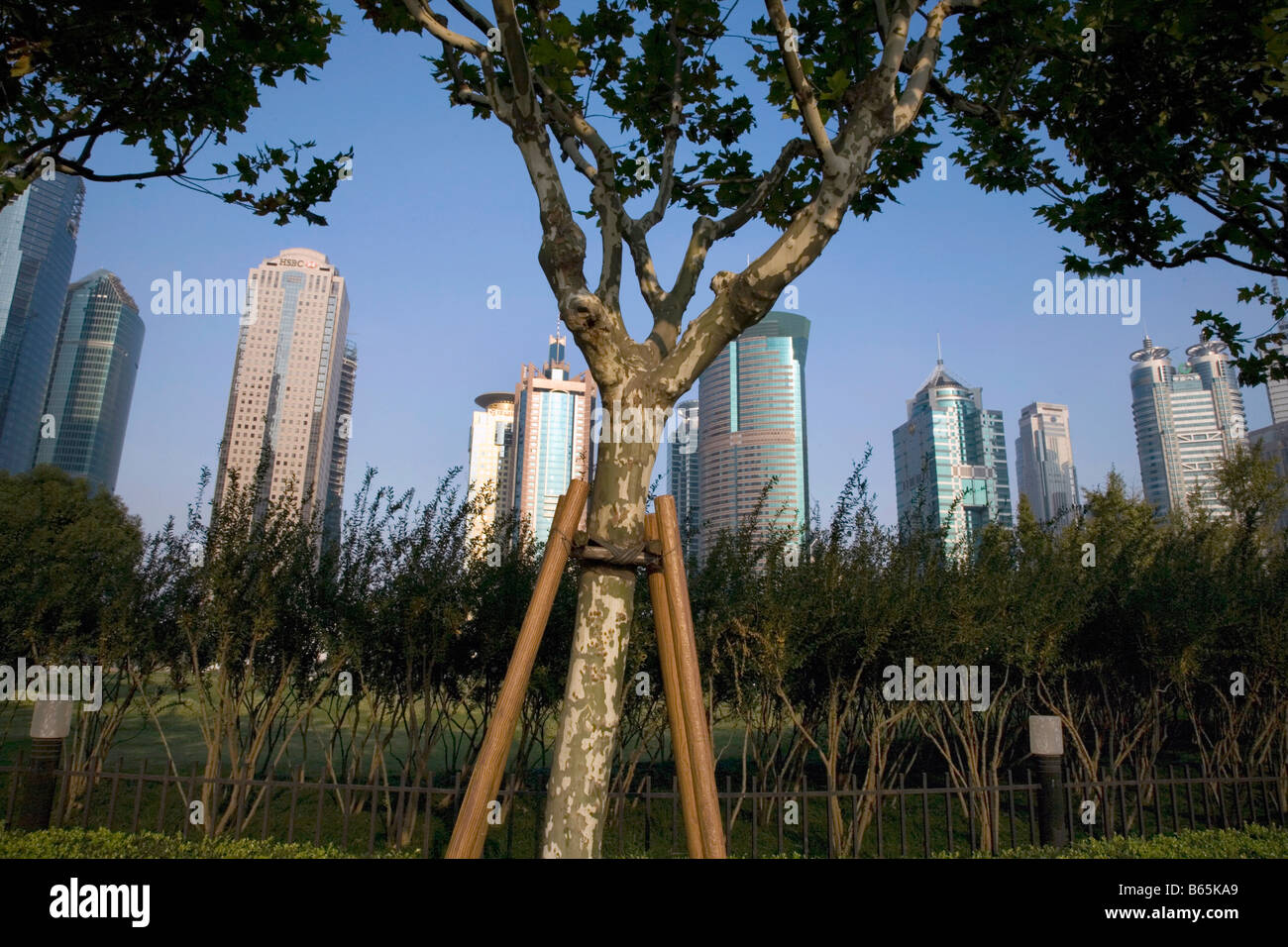 Highrise buildings in the Pudong New Area Shanghai China Stock Photo ...