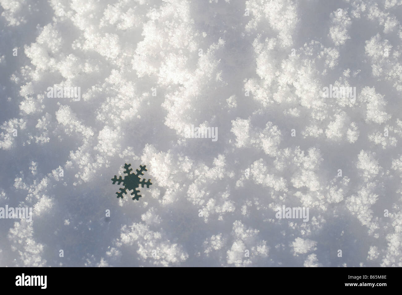 golden snow stars on a real snowy icy surface Stock Photo - Alamy