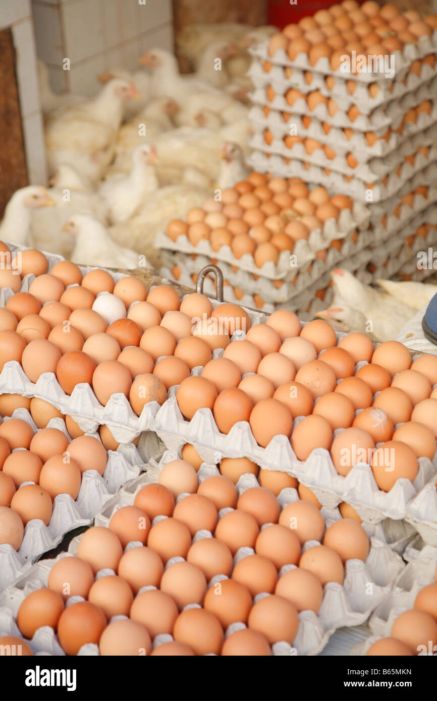 Poultry shop hi-res stock photography and images - Alamy
