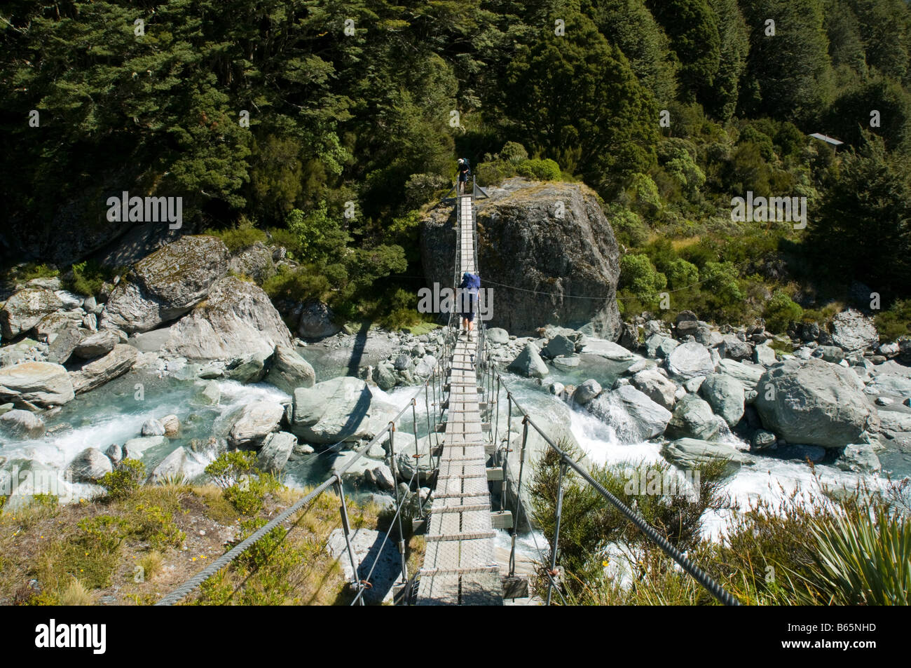 Suspension bridge new zealand hi-res stock photography and images - Alamy