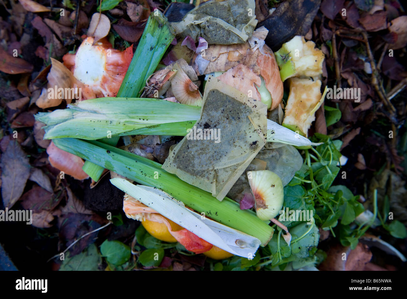 Domestic compost bin hi-res stock photography and images - Alamy