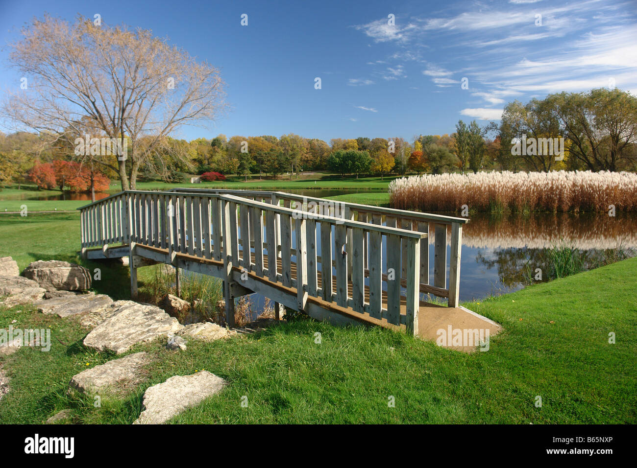 A picture of footbridge over pond Stock Photo - Alamy