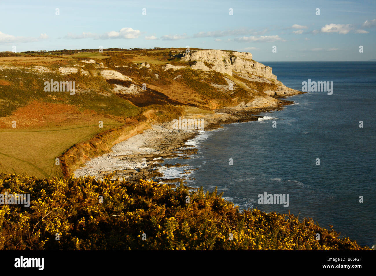 Hunts Bay with Pwll Du Head in the background, Gower Peninsula, West ...