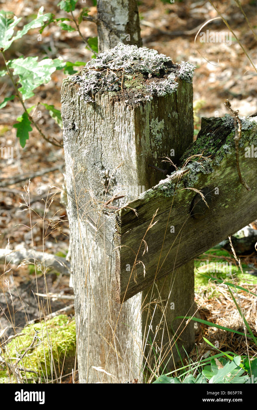 Old country wooden fence Stock Photo - Alamy
