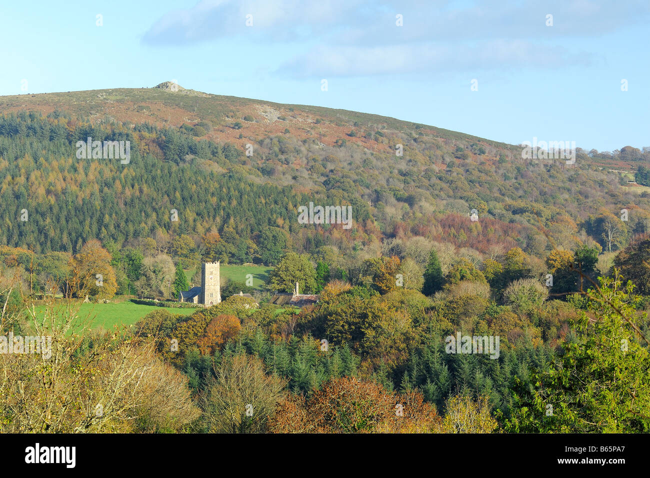 Buckland In The Moor High Resolution Stock Photography and Images - Alamy
