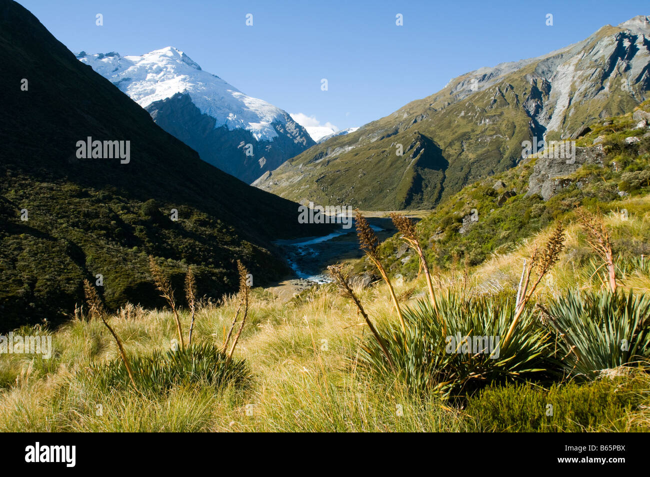 Mount Edward from the Dart Valley, Rees Dart track, Mount Aspiring ...