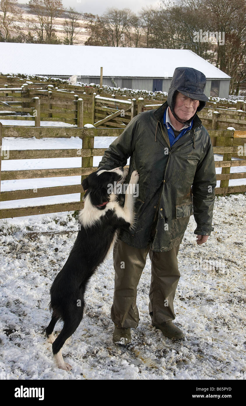 farmer with sheep dog.The Lammermuirs Stock Photo - Alamy