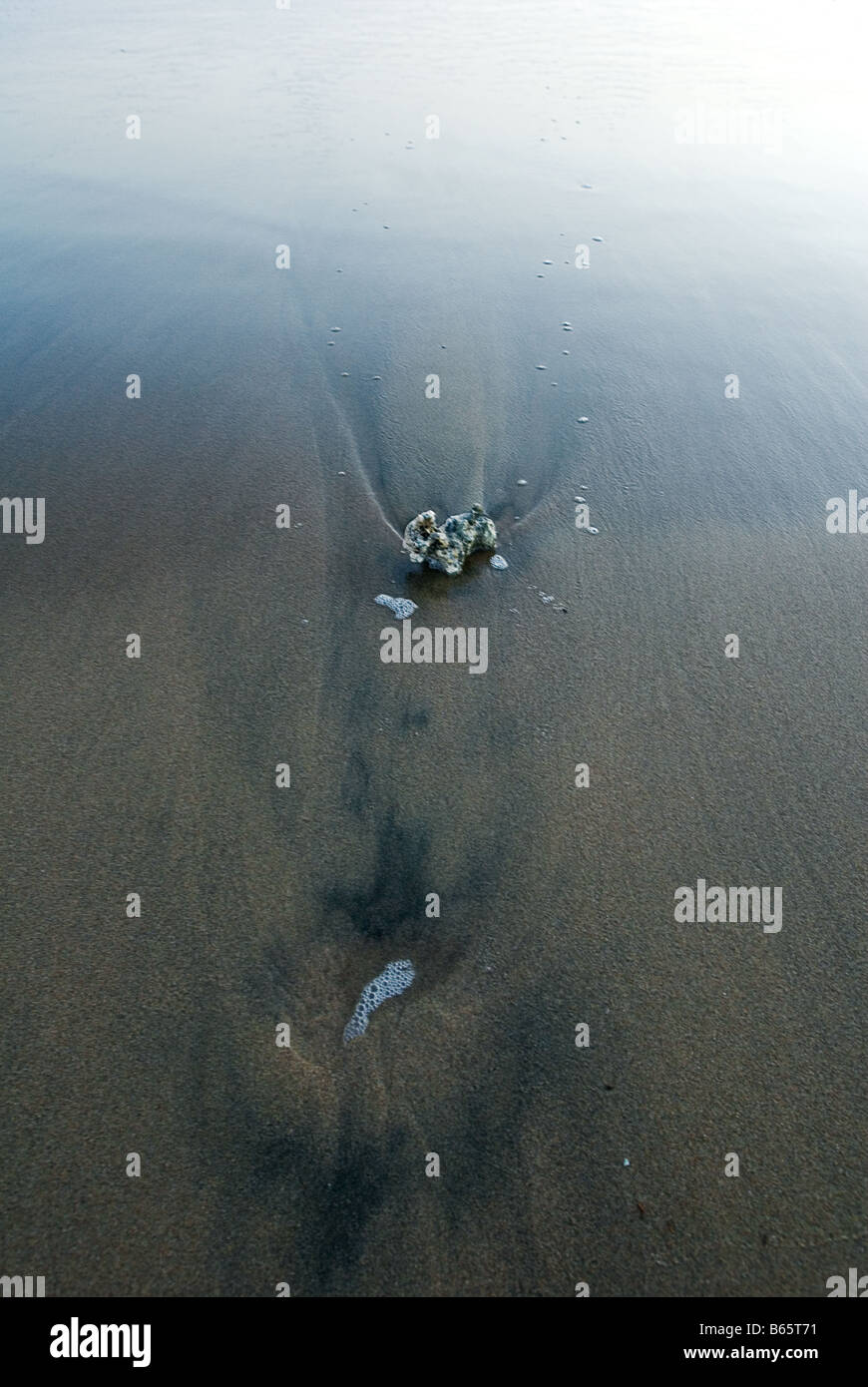 Sand habitats hi-res stock photography and images - Alamy