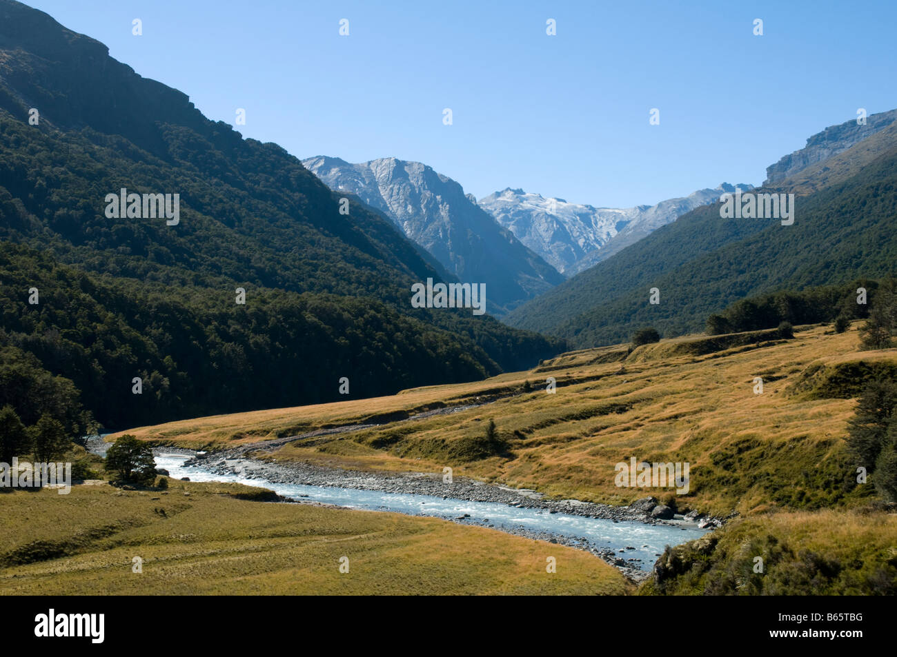 Mount Anstead and the Dart River valley, Rees Dart track, Mount ...