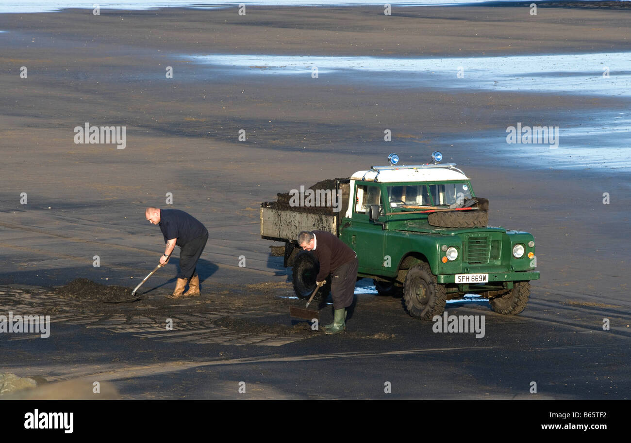 Gathering Sea Coal Stock Photo - Alamy