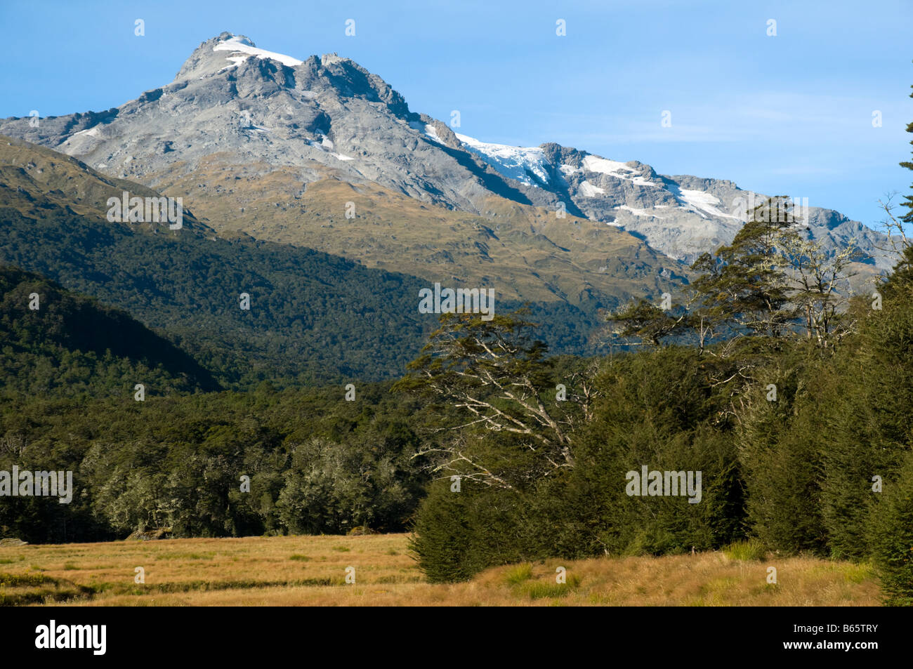 A peak of the Barrier Range from the Dart Valley, Rees Dart track ...