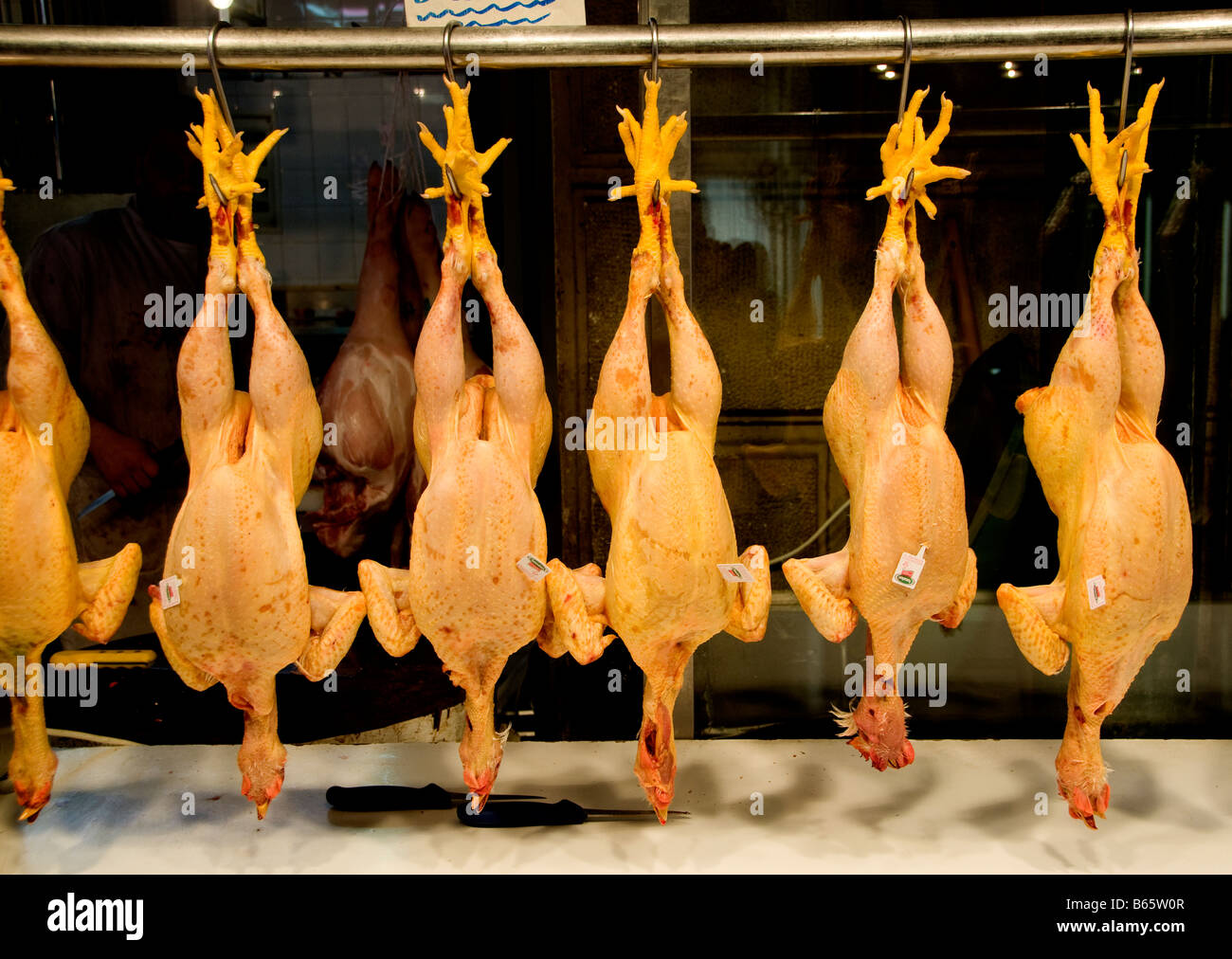 Food for chickens hi-res stock photography and images - Alamy