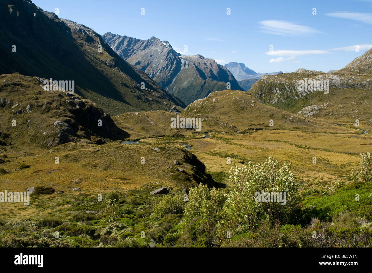 Upper Route Burn Valley above the Routeburn Falls Hut, Routeburn Track ...