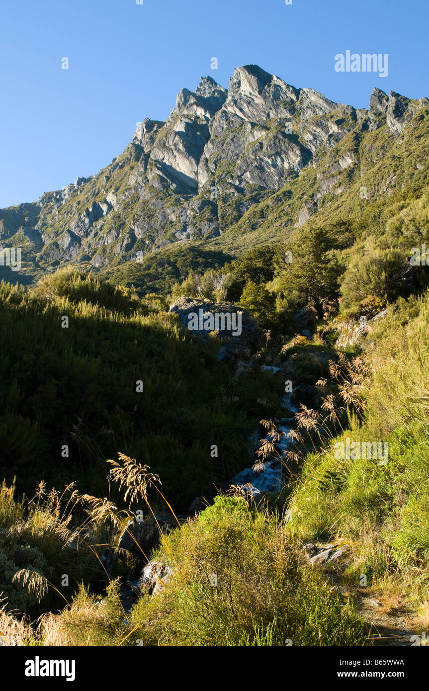 The Dart River valley, Rees Dart track, Mount Aspiring National Park ...